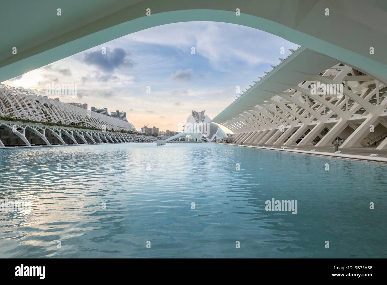 City of Arts and Sciences. General view of the buildings. Wide view ...