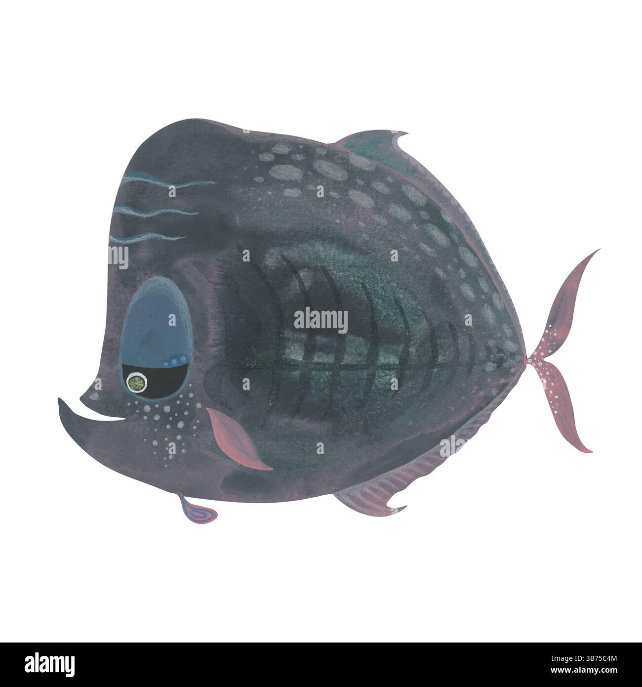 Watercolor fish illustration hi-res stock photography and images - Alamy