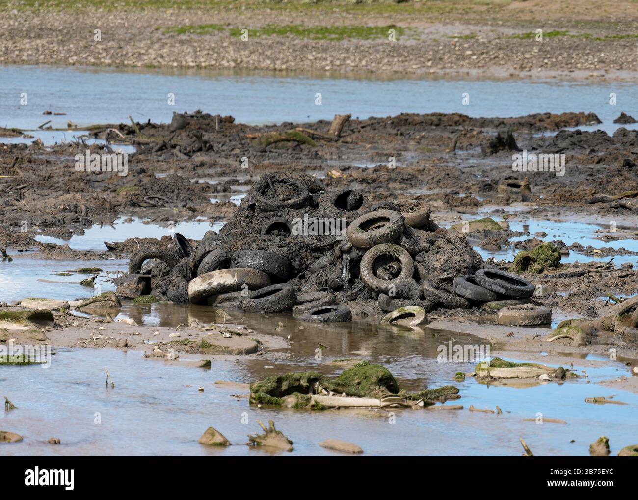 Bridgend County,UK, 05 May 2025 reclaimed tyres from the river during ...