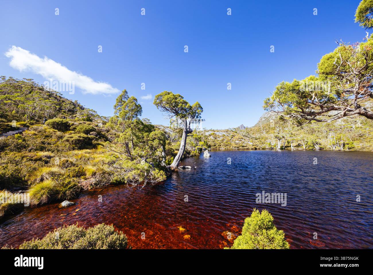 Wombat Pool at Cradle Mountain in Tasmania Australia Stock Photo - Alamy