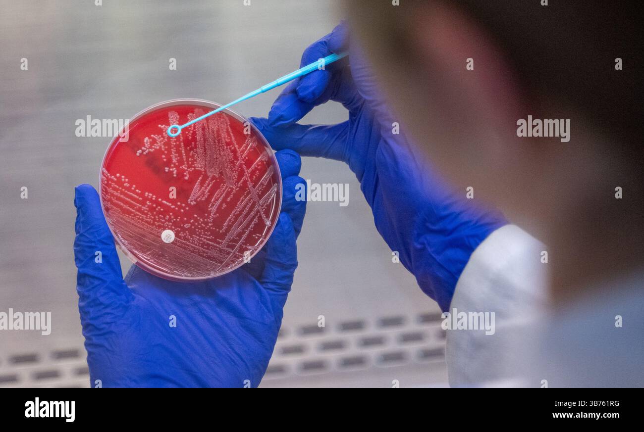 PRODUCTION - 29 April 2025, Bavaria, Munich: An employee of the ...