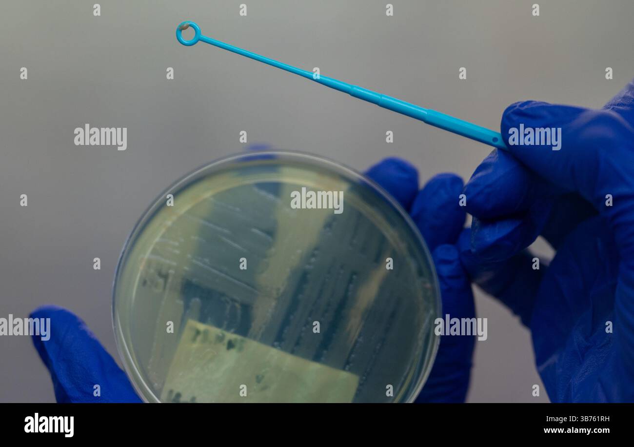 PRODUCTION - 29 April 2025, Bavaria, Munich: An employee of the ...