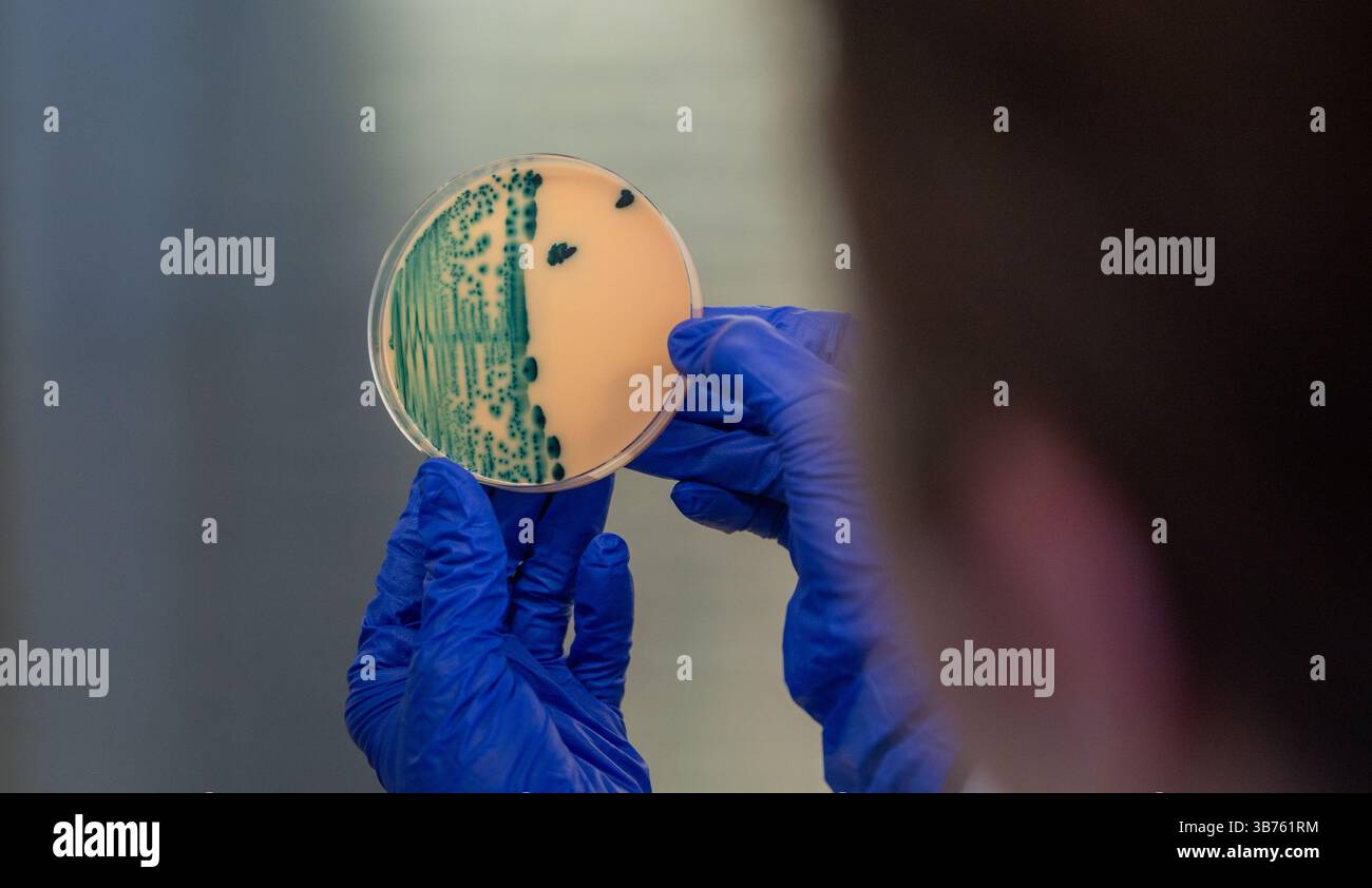 Munich, Germany. 29th Apr, 2025. An employee of the Bavarian State ...