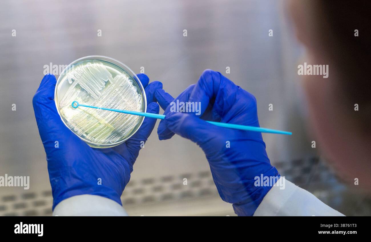 Munich, Germany. 29th Apr, 2025. An employee of the Bavarian State ...