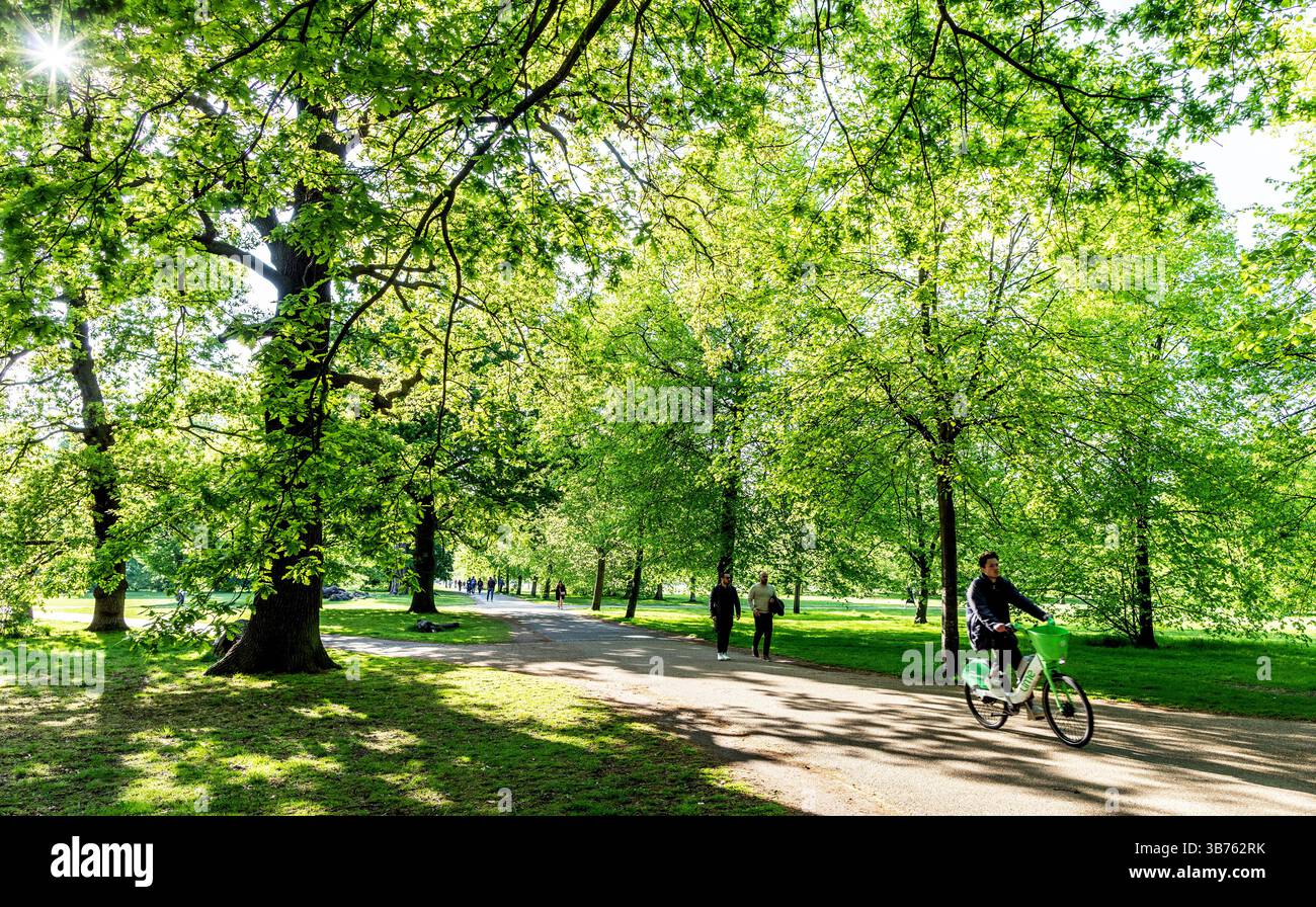 Walking cycling in park hi-res stock photography and images - Alamy