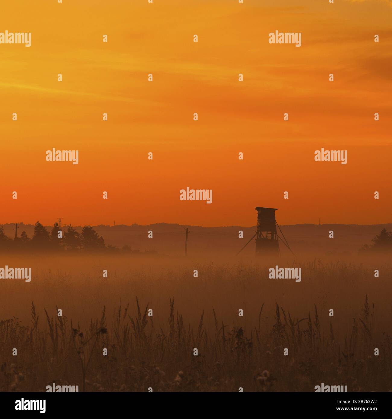 Typical hunters tower on the meadow Stock Photo - Alamy