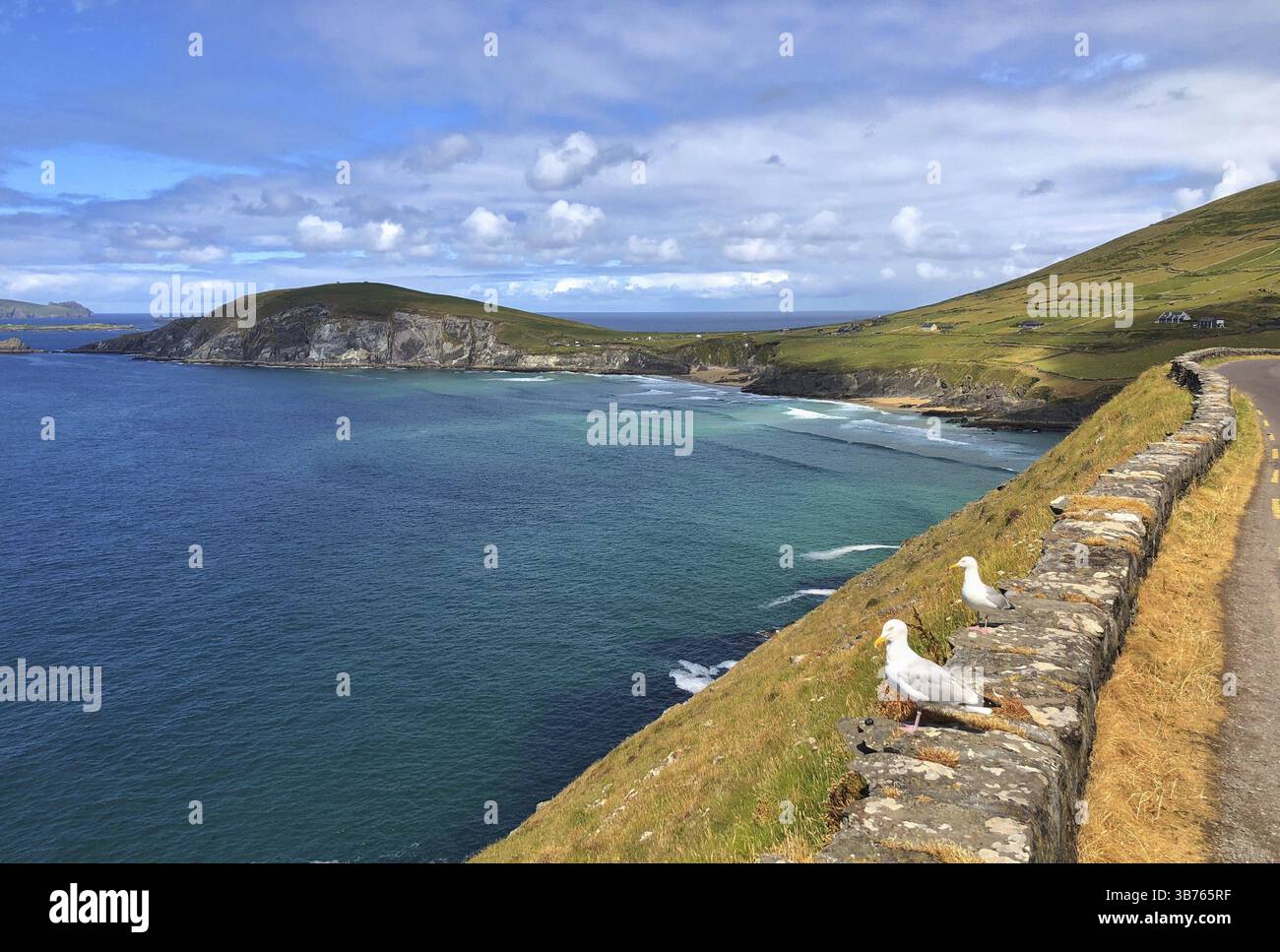 Beautiful coast between Slea Head and Dunmore Head at Slea Head Drive ...