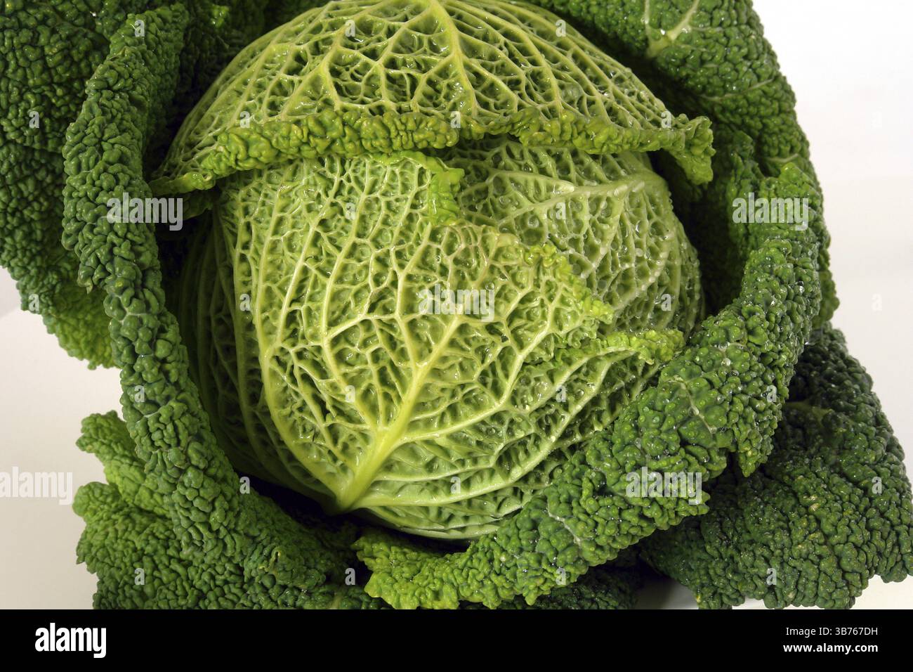 Phosphorus free hi-res stock photography and images - Alamy