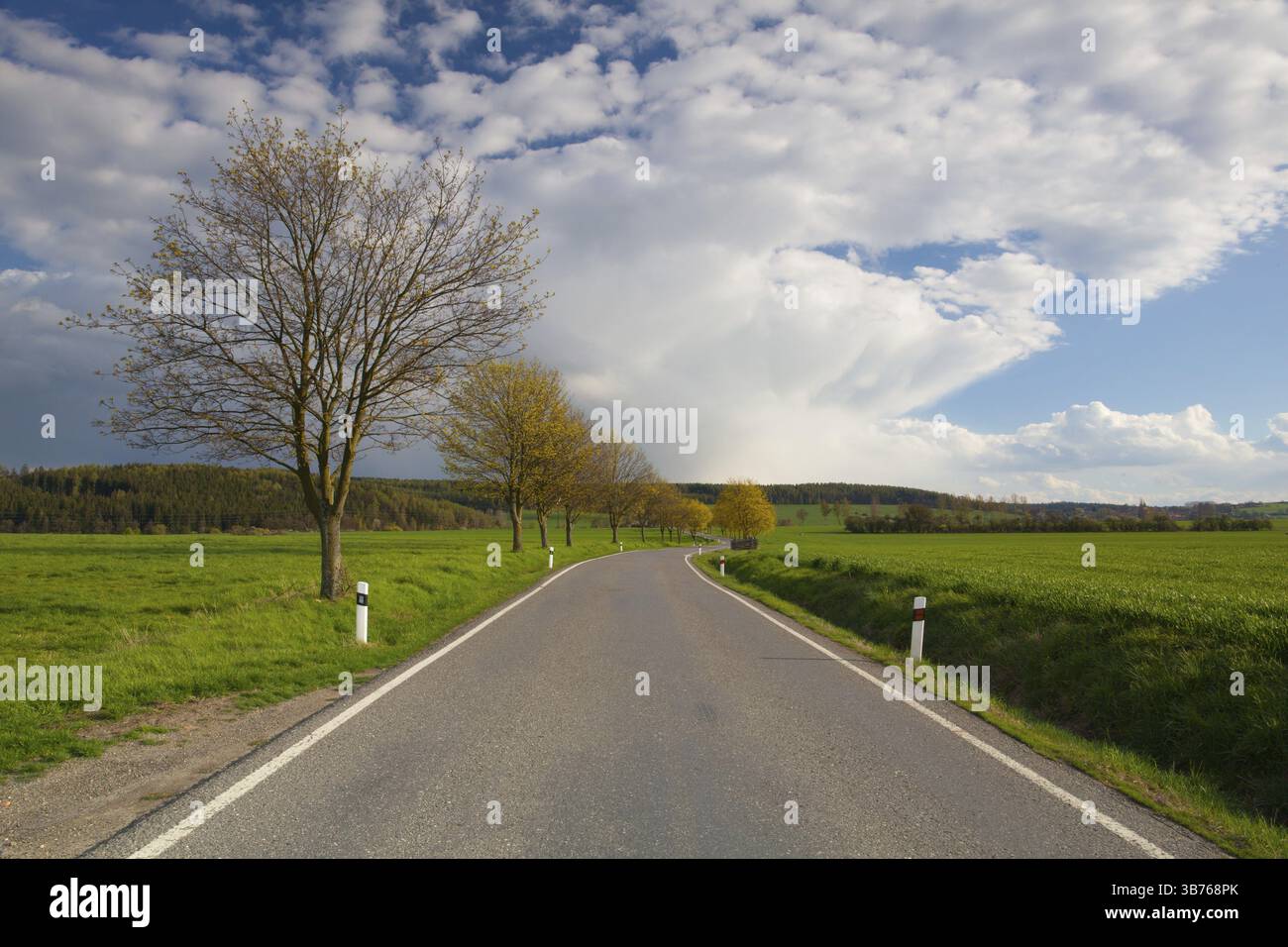 Empty street in raining hi-res stock photography and images - Alamy