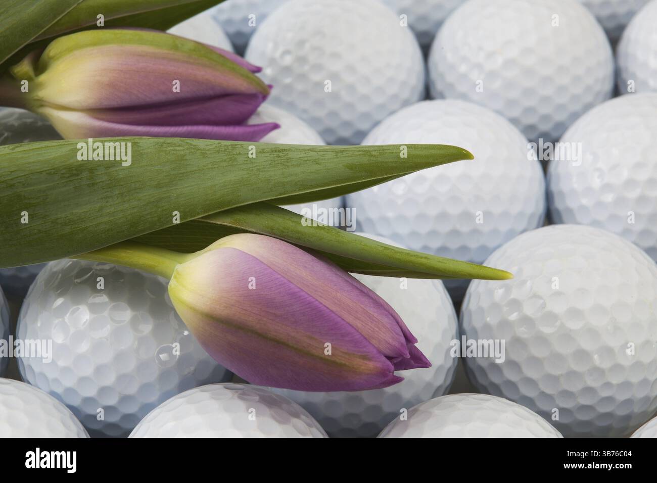 Purple golf ball hi-res stock photography and images - Alamy
