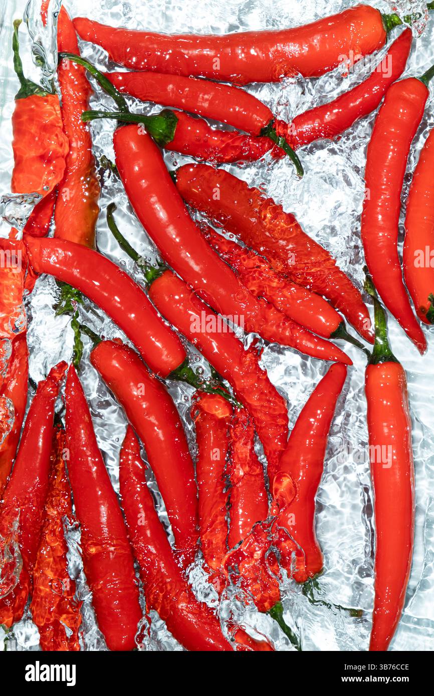 Red Spicy Peppers in Water Surface Composition Stock Photo - Alamy