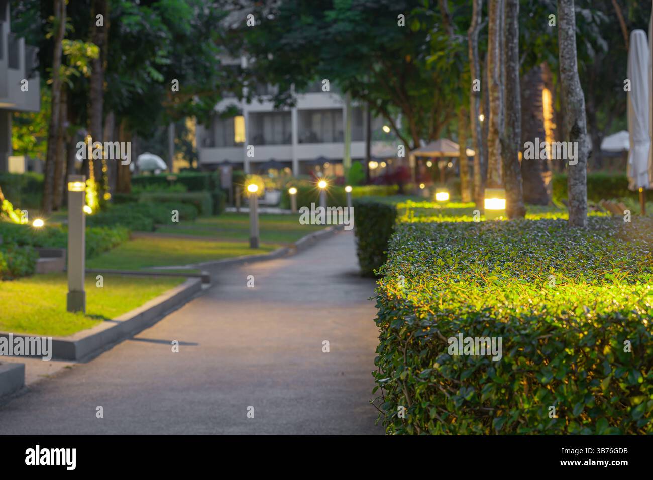 A lighted path among clipped shrubs and green lawns in a hotel in a ...