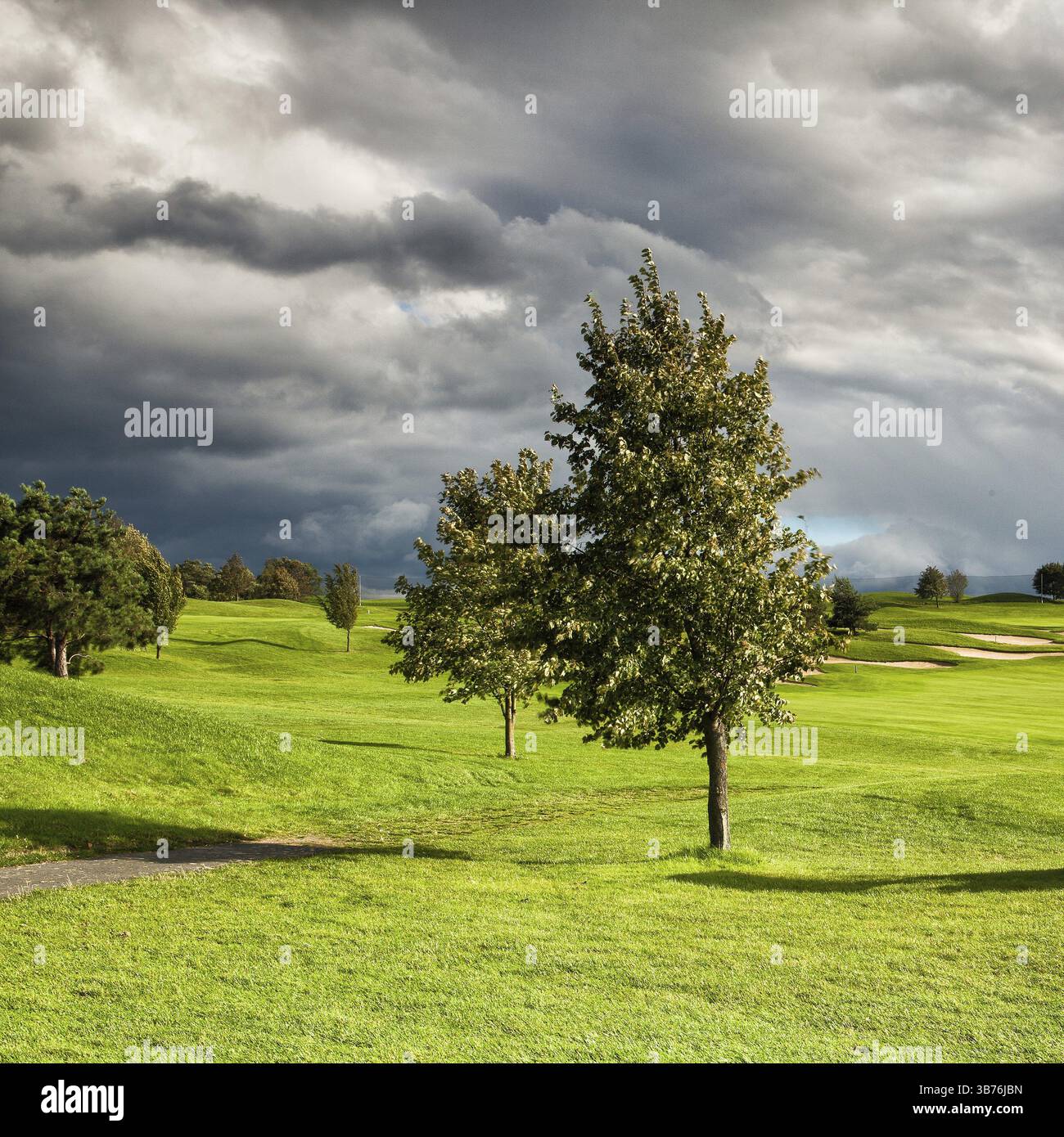 Summer golf course after storm Stock Photo - Alamy