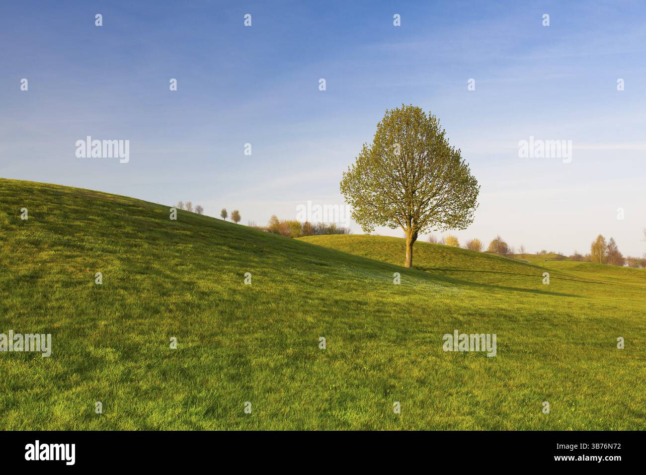 On a empty golf course at sunset Stock Photo - Alamy