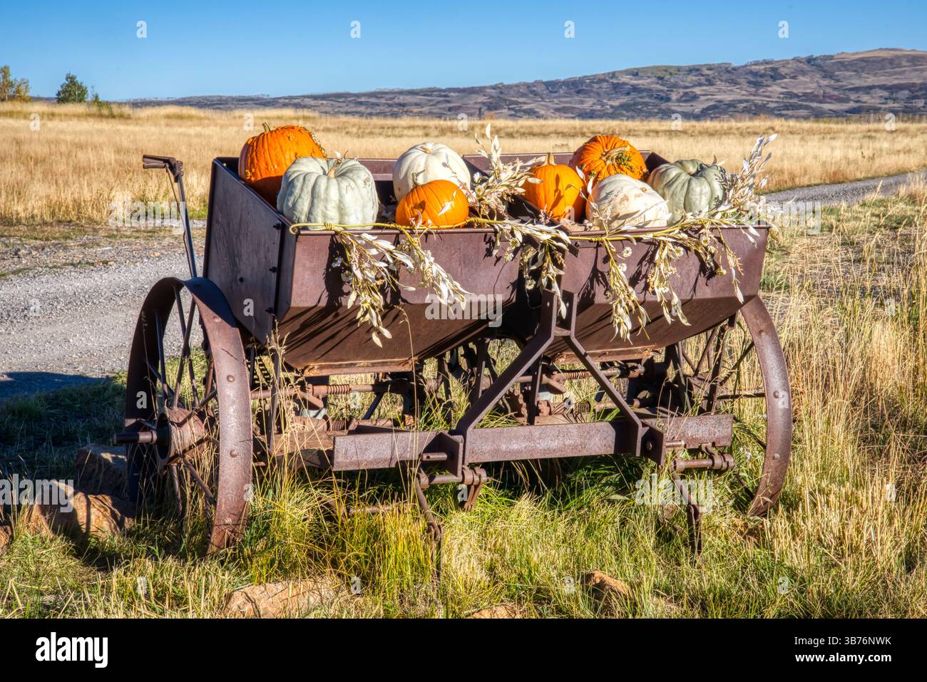 Rural farm scene with pumpkins and squash on a farm cart Stock Photo ...