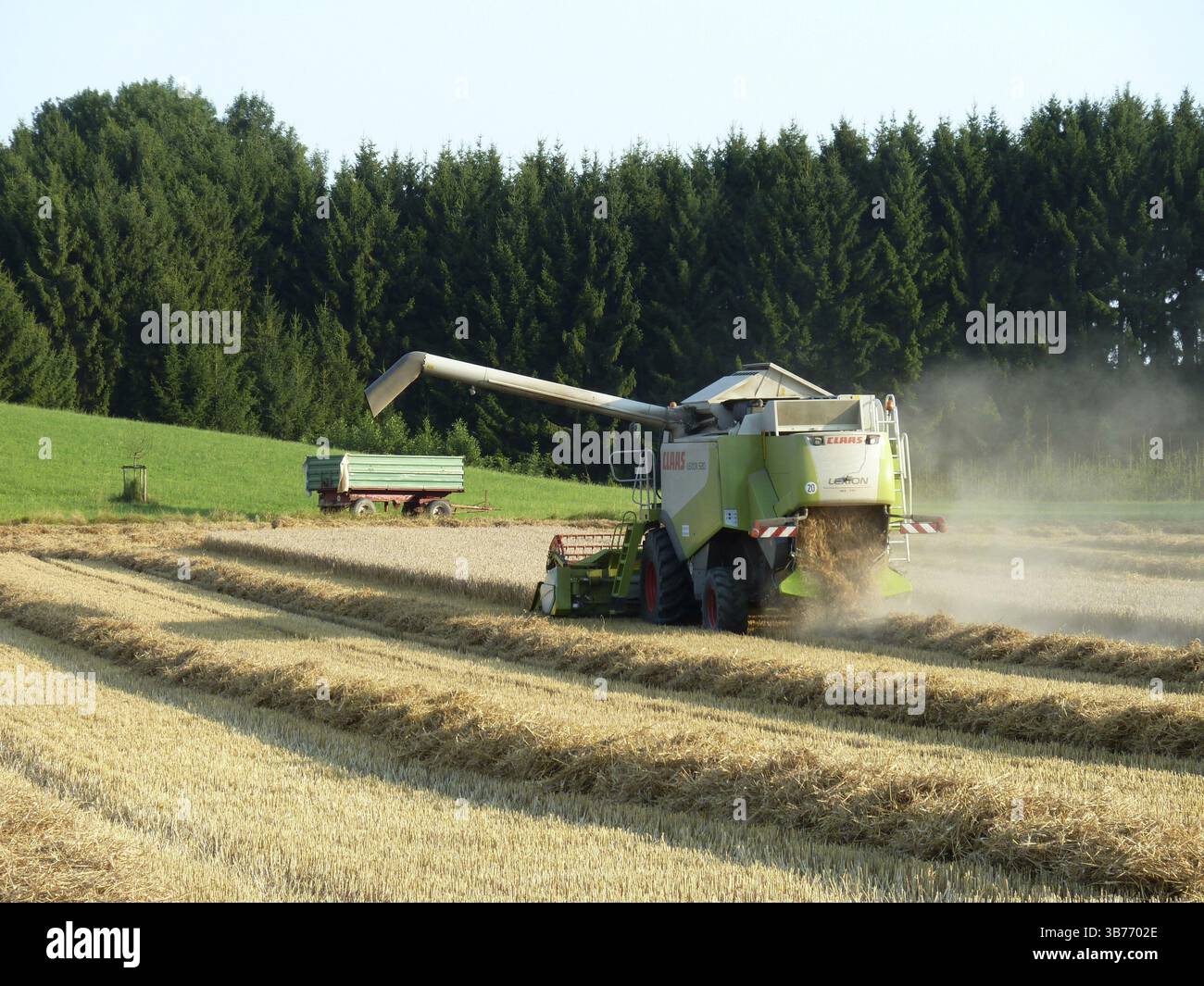 Harvest field field summer grain grain wheat rye machine combine ...