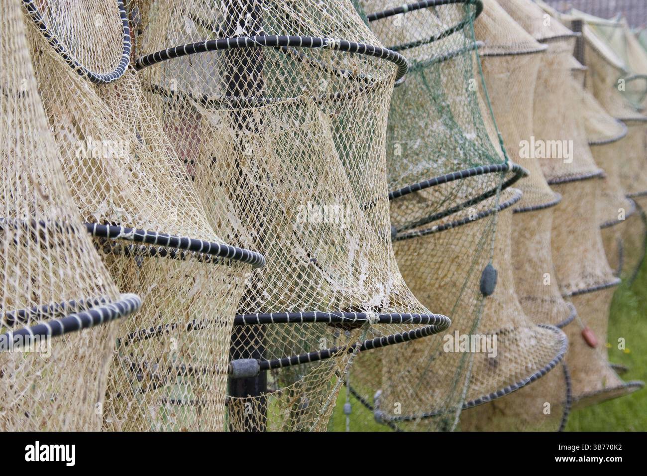 Mens traps hi-res stock photography and images - Alamy