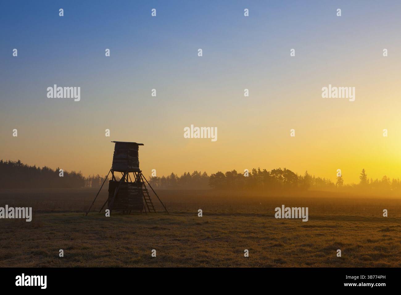 Hunter lookout tower on the edge of the forest in the morning mist ...