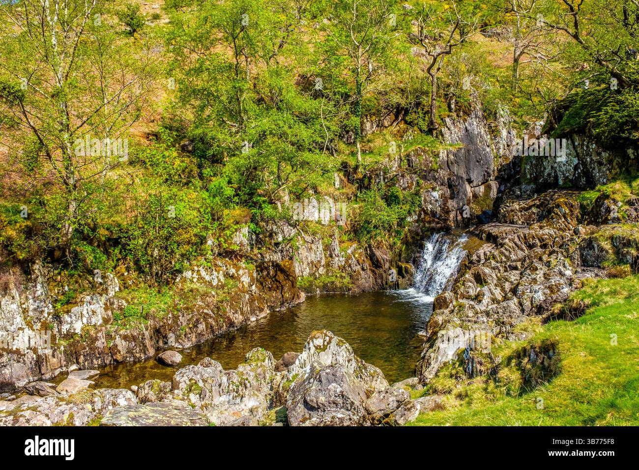 Swindale Beck in the eastern Lake District, Cumbria,UK Stock Photo - Alamy