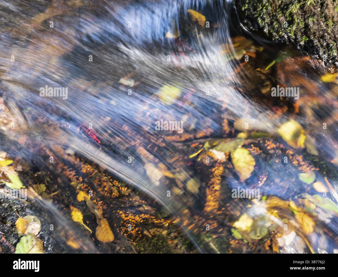 Autumn leaves in a fast flowing stream at Aira Force waterfall in Lake ...
