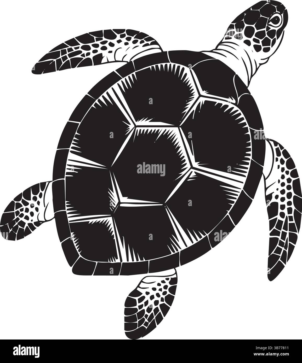 Black and white silhouette illustration of a sea turtle swimming ...