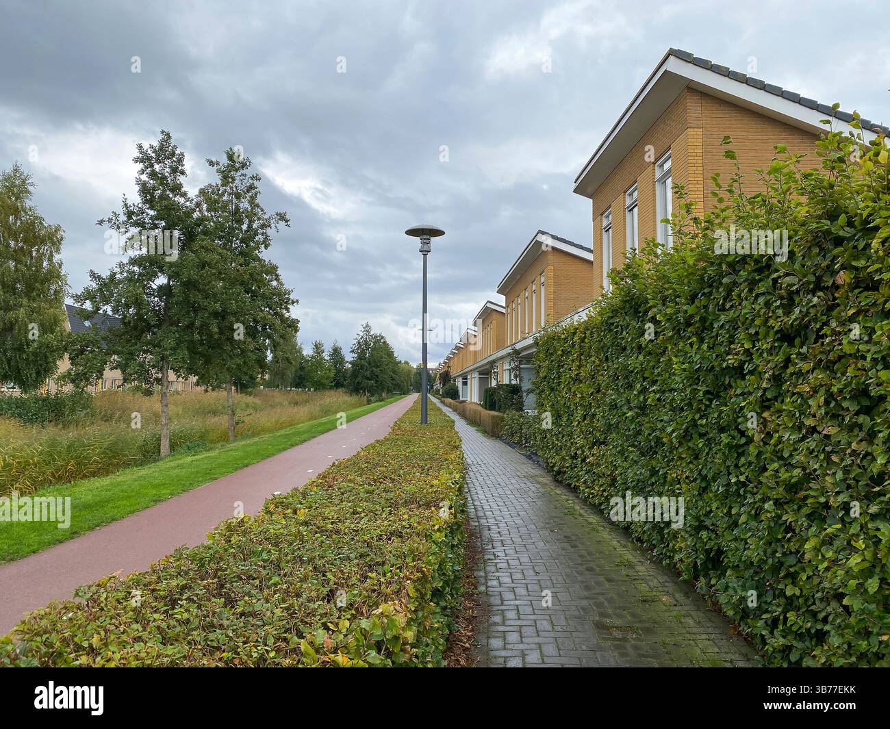 A quiet residential street lined with houses, trees, and a sidewalk ...