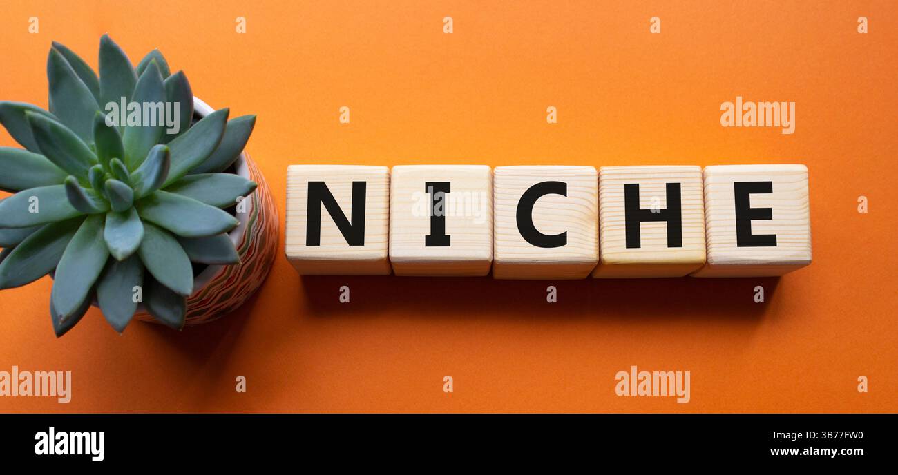 Niche symbol. Concept word Niche on wooden cubes. Beautiful orange ...