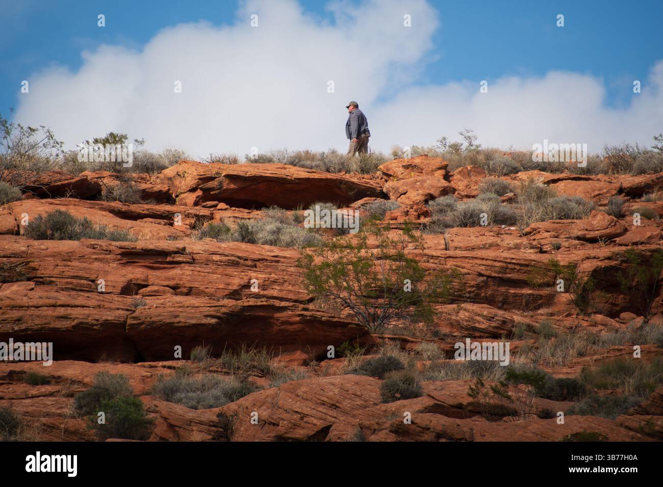 ST GEORGE, UT, USA - MAY 5 10, 2025: Tourists visit Pioneer Park ...