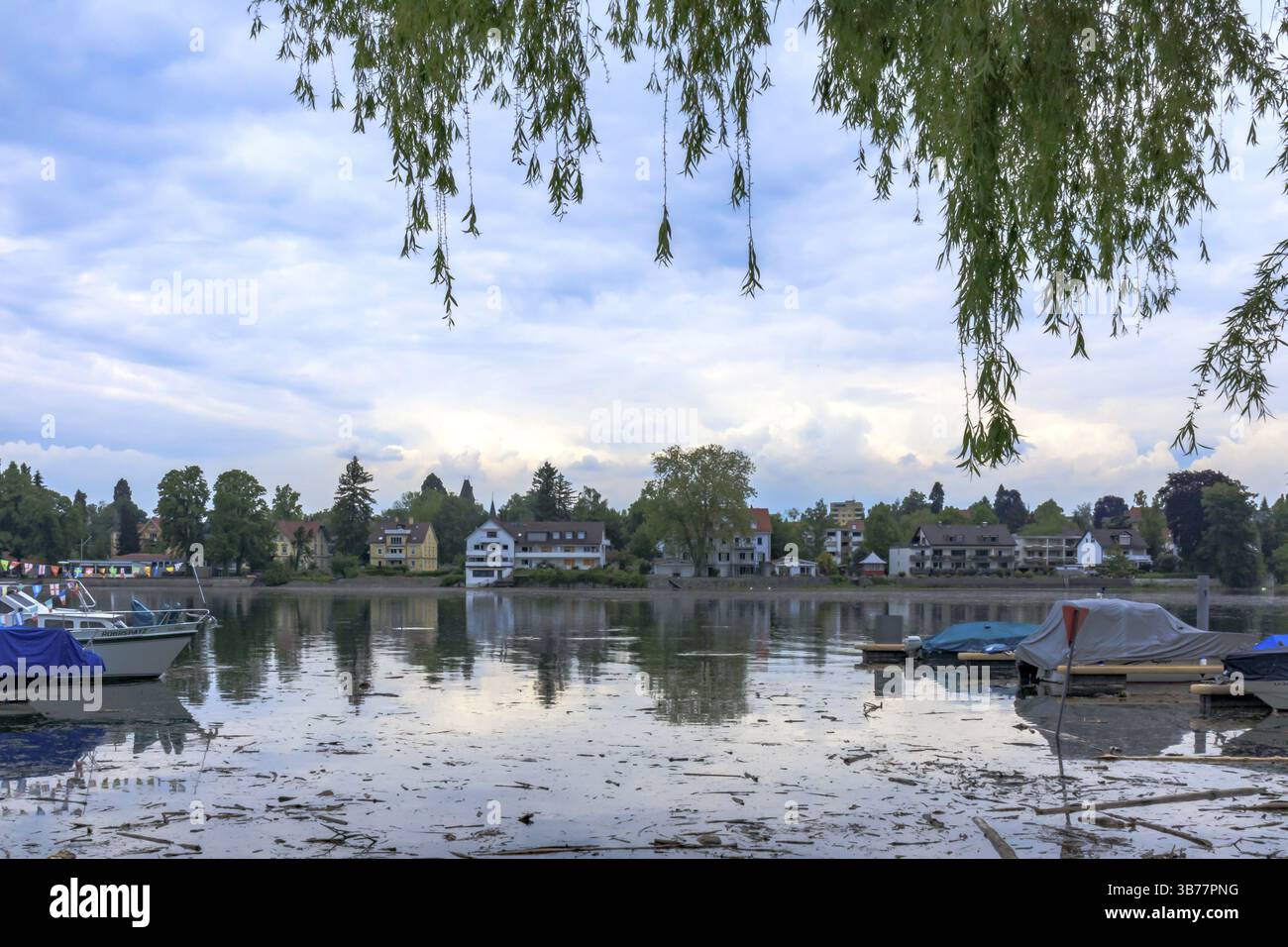 Storms have driven storm wood into the small lake between Lindau Island ...