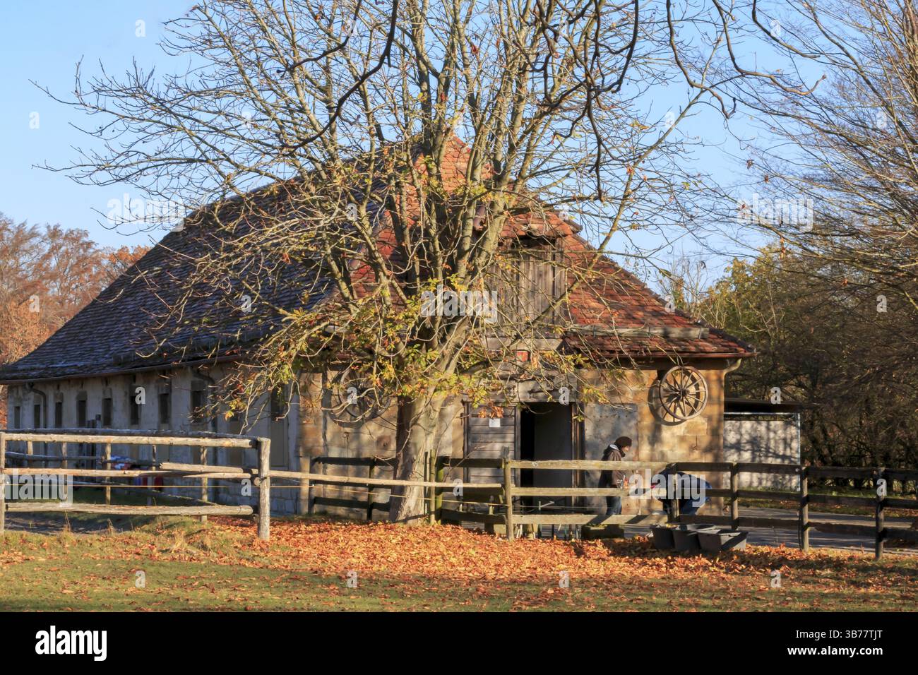 Foliage covered building hi-res stock photography and images - Alamy