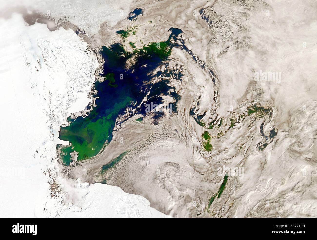 Algal pool surrounded by ice, Antarctica Stock Photo - Alamy