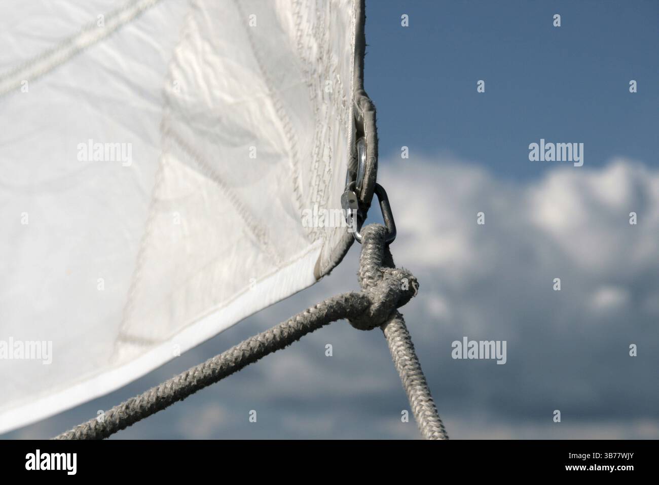 The jib with shackle and sheet, Germany, Europe Stock Photo - Alamy