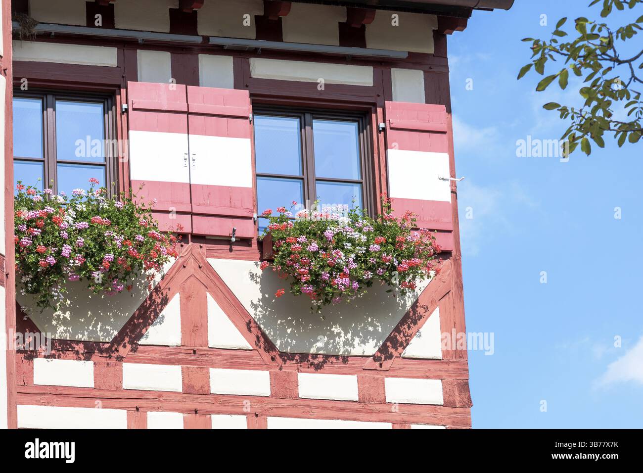 Half-timbering and floral decorations on the mullioned windows of the ...