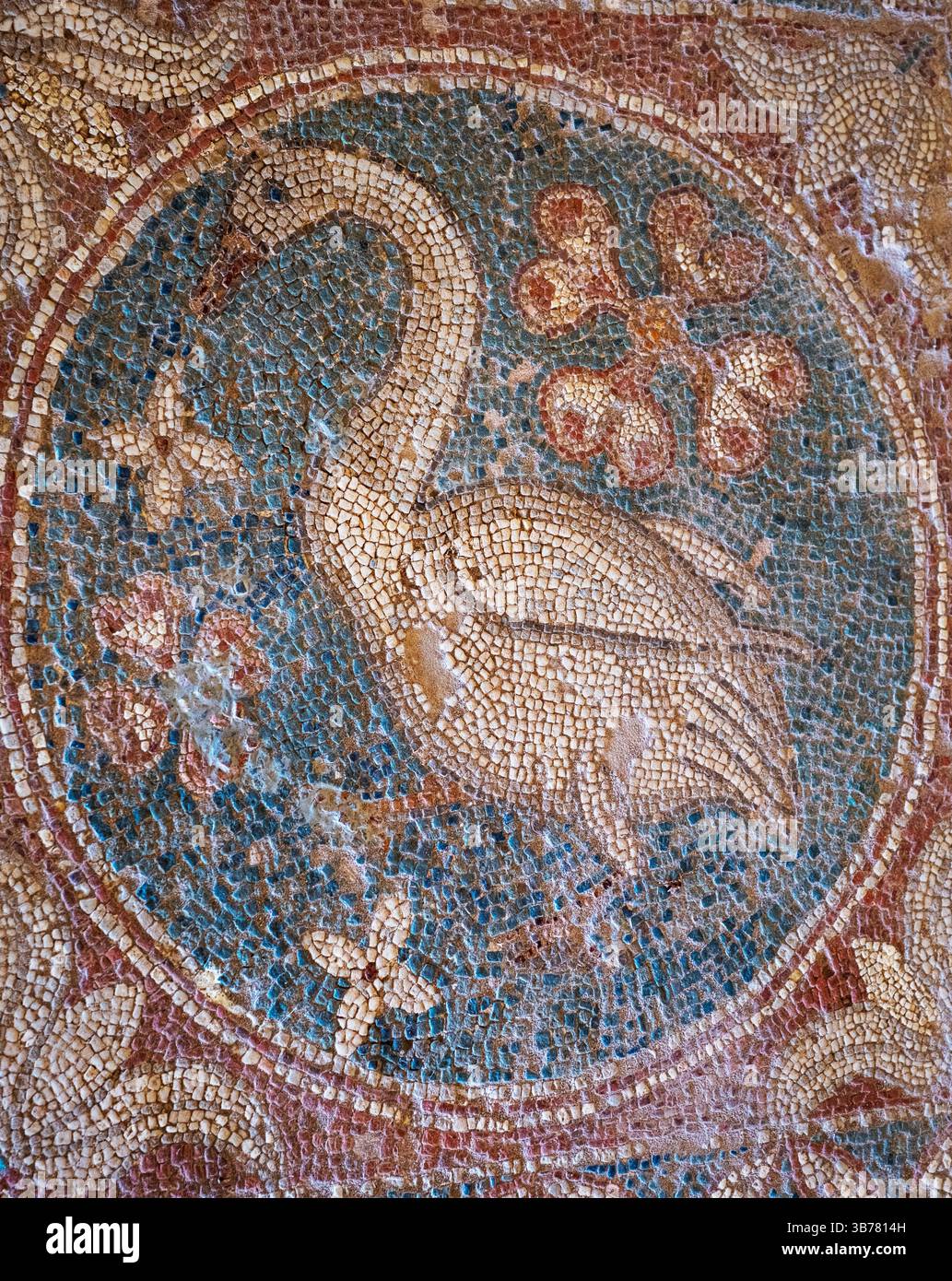 The Swan floor mosaic, Roman ruins of Soloi, Karavostasi, Northern ...