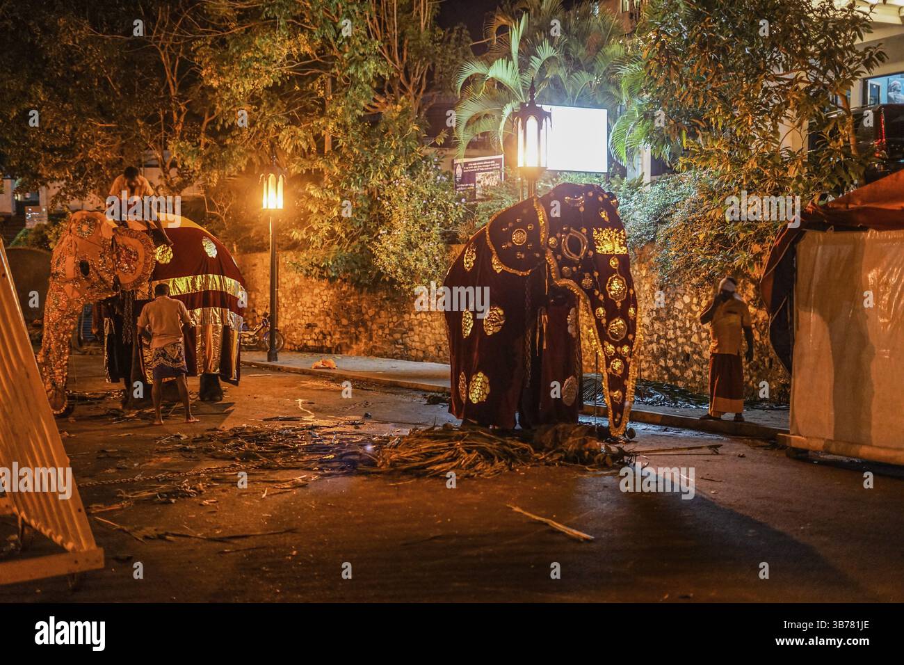 Image of Sri Lanka elephant (Sri Lanka Candy). Shooting Location: Sri ...