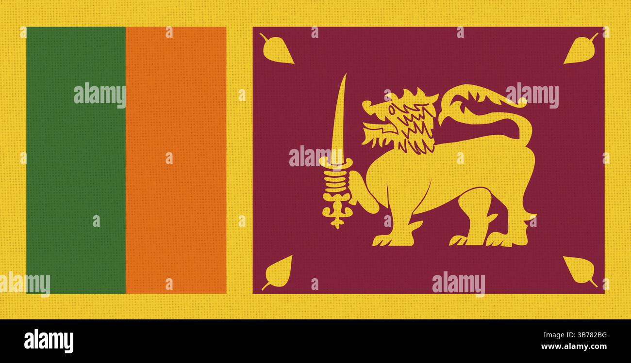 Flag of Sri Lanka. National symbol of Ceylon on patterned background ...