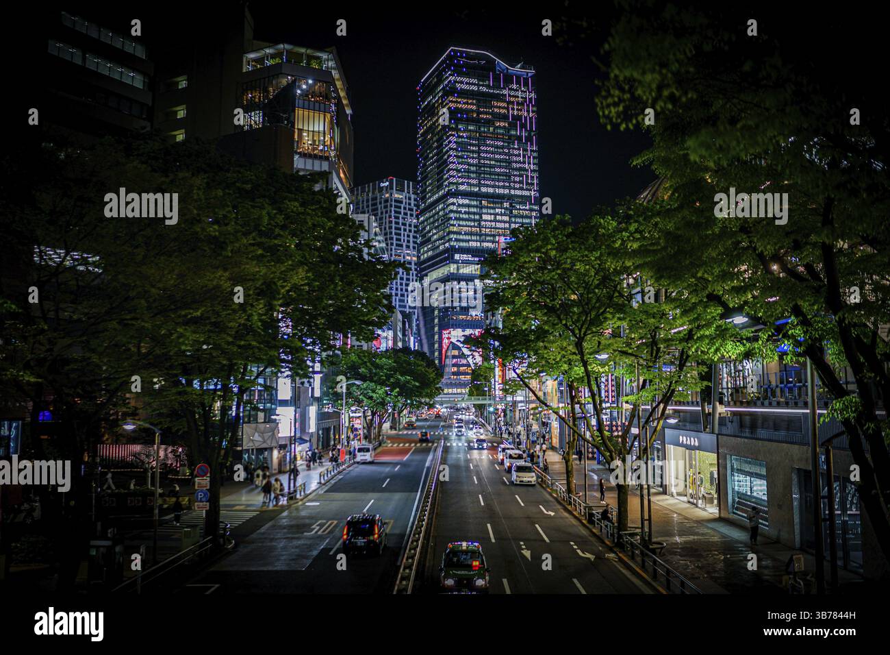 Shibuya Scramble Square Night view. Shooting Location: Shibuya -ku ...