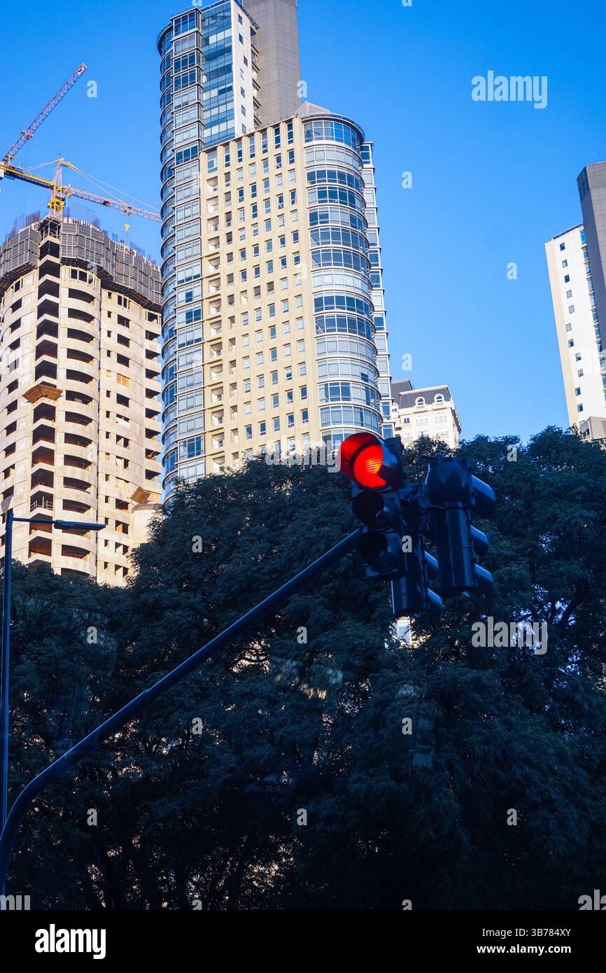 Red light at a tree-lined intersection in Puerto Madero, Buenos Aires ...