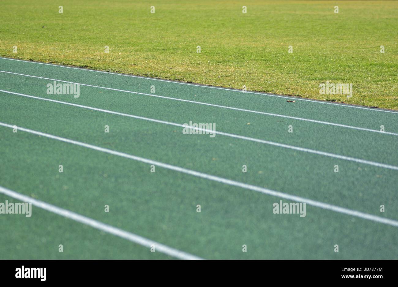Green running track with white lines and green grass in right side ...