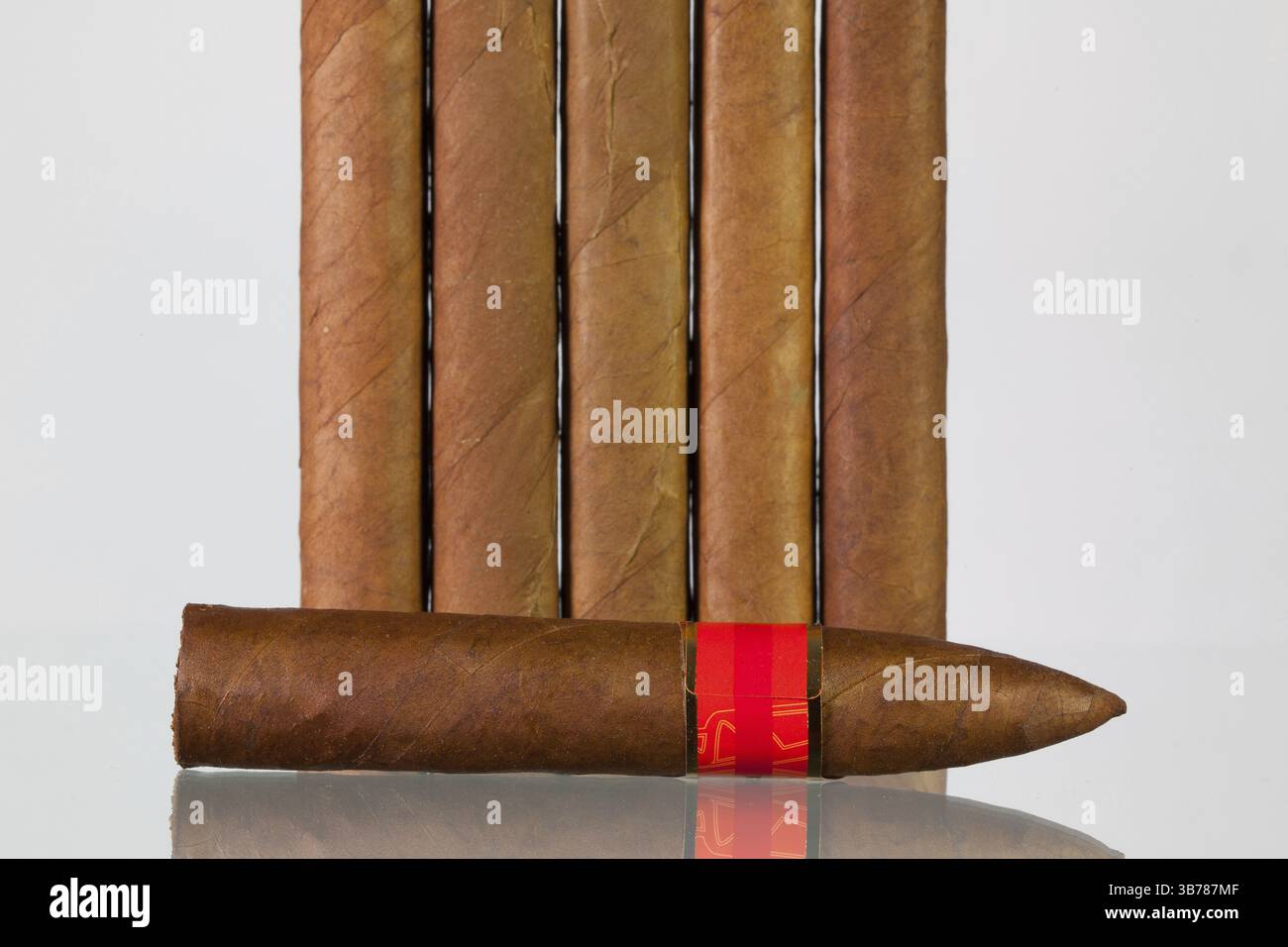 Different cigars on a glass table and white background Stock Photo - Alamy