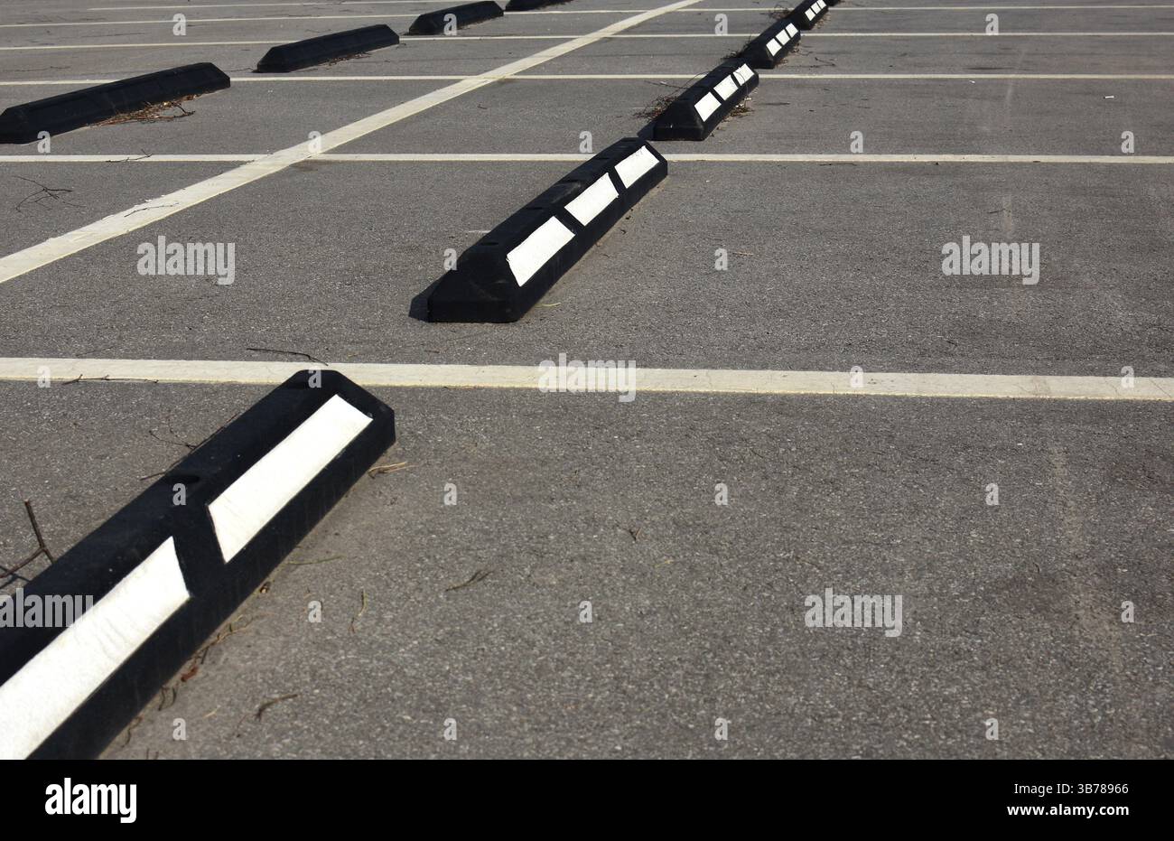 Empty parking space with white lines and curb stops Stock Photo - Alamy