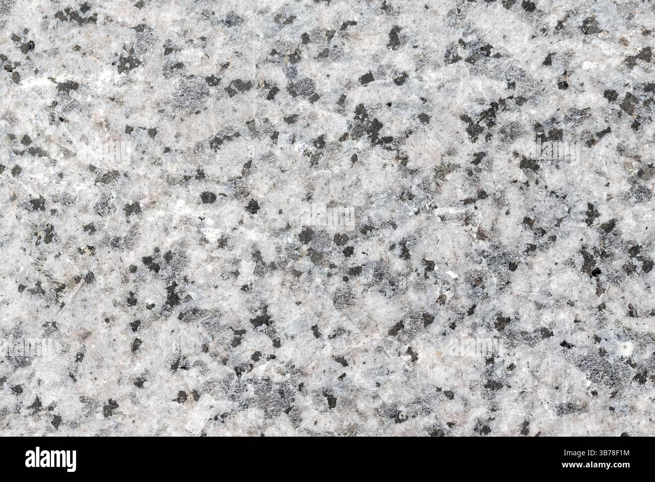 Natural granite surface displaying various gray tones and black specks ...