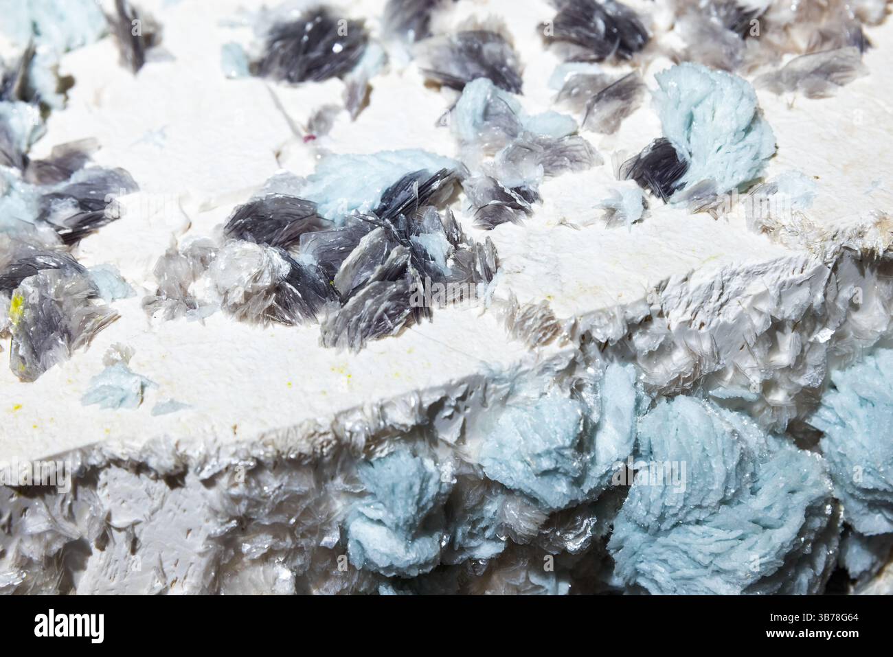 Unique geological specimen featuring hi-res stock photography and ...