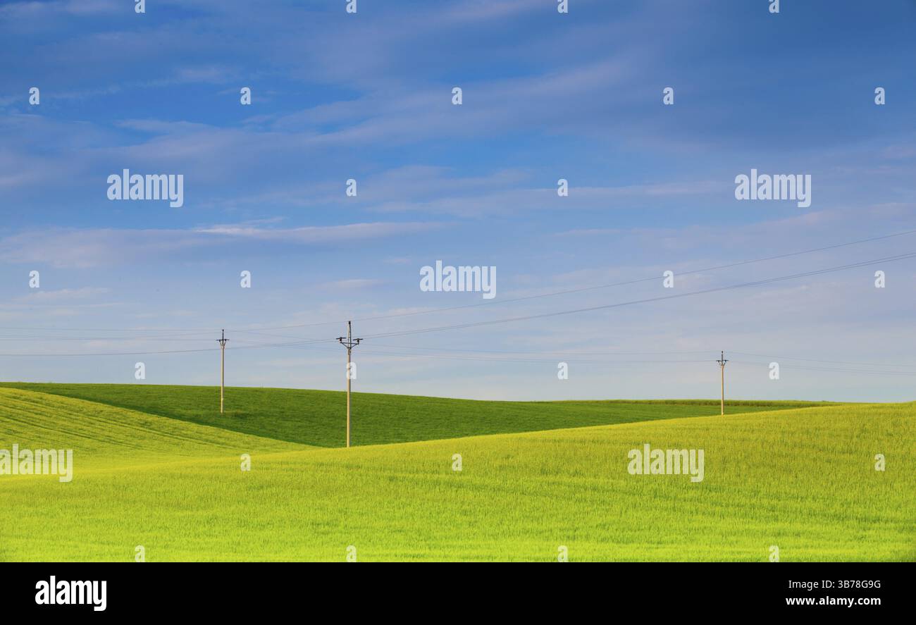 Empty wooden pole wires hi-res stock photography and images - Alamy