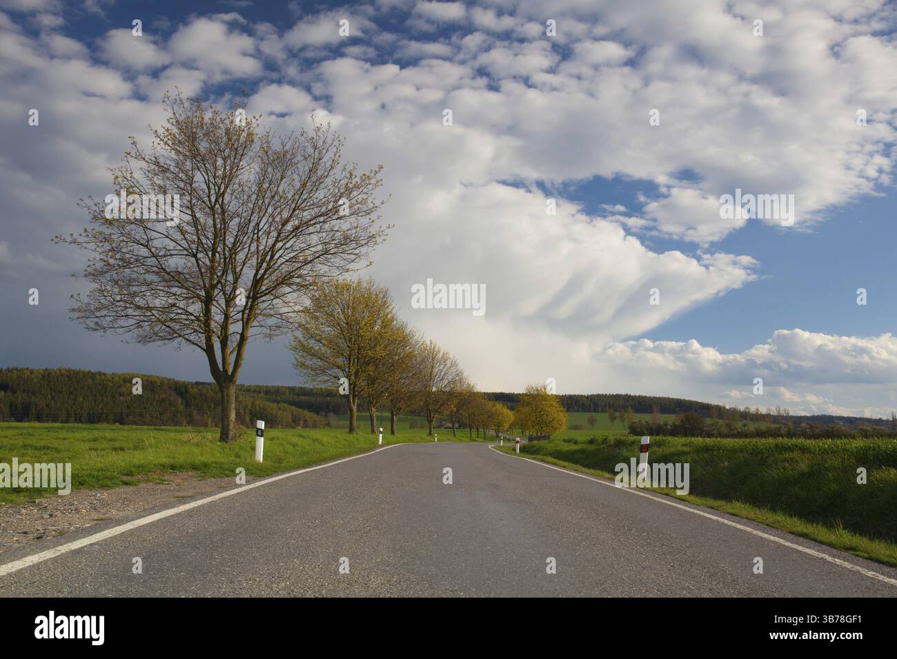 Raining empty street road hi-res stock photography and images - Alamy