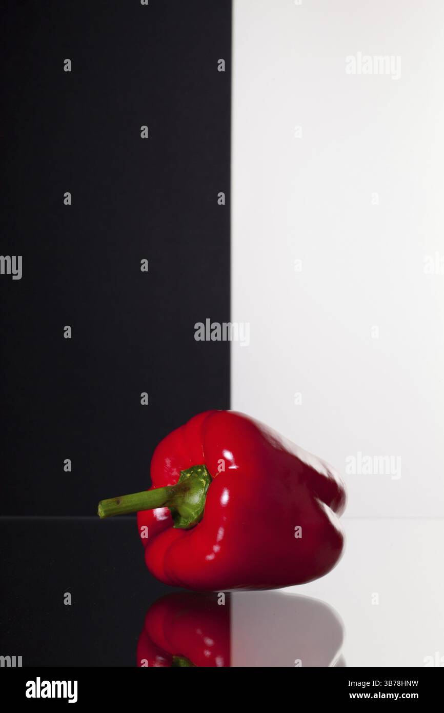 Single red pepper isolated on black and white background and glass desk ...