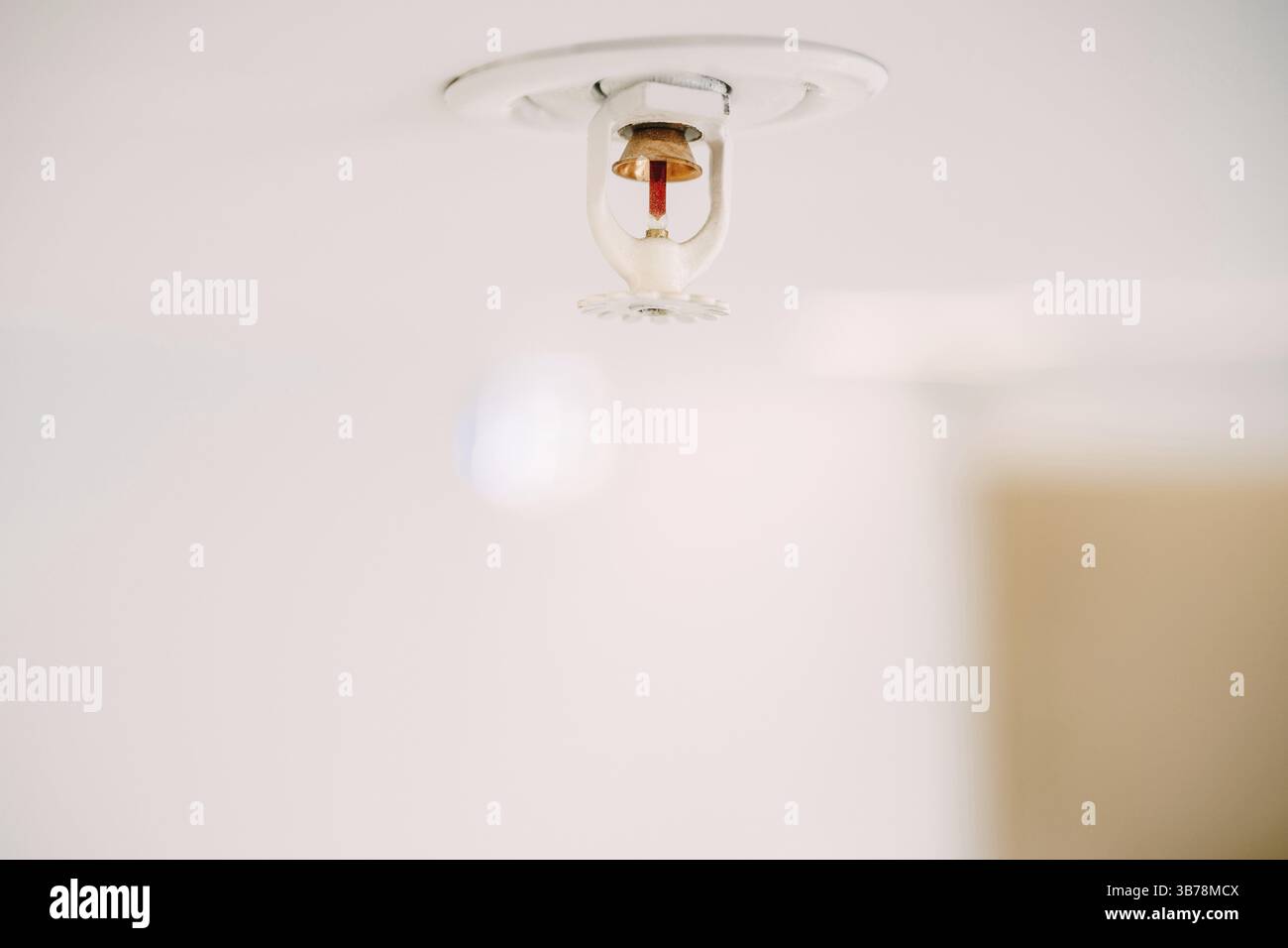 Close-up of an automatic ceiling fire sprinkler system on a white ...