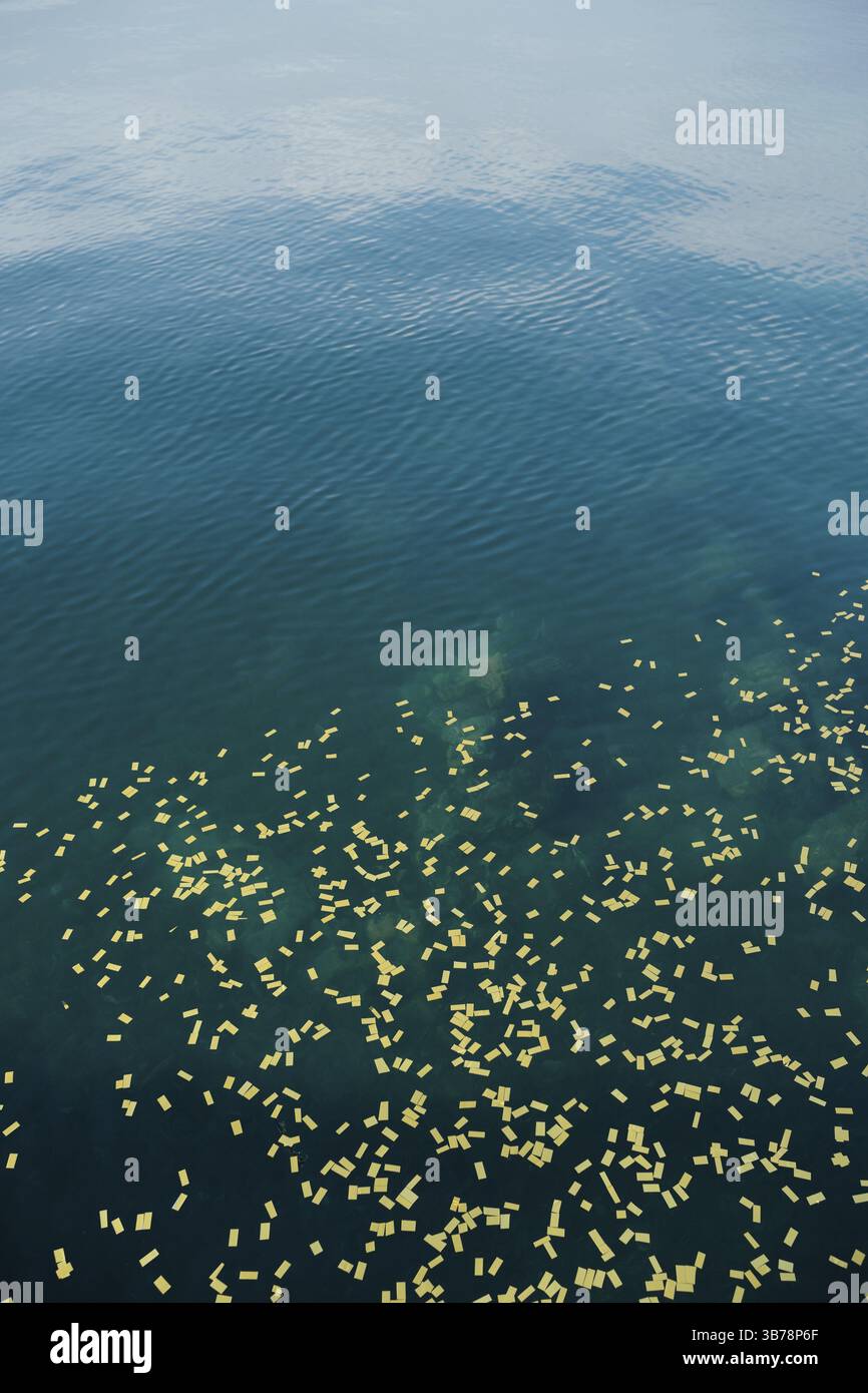 Candy from the flappers float in the water. Pollution of the reservoir ...