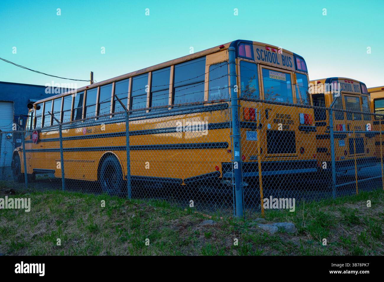 School buses penned up after a busy school day by Britannia Secondary ...