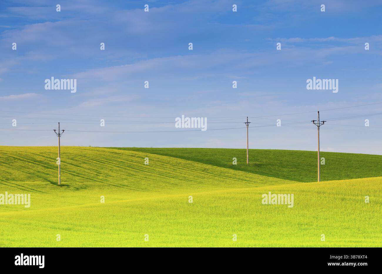 Wooden power poles on the empty summer field Stock Photo - Alamy